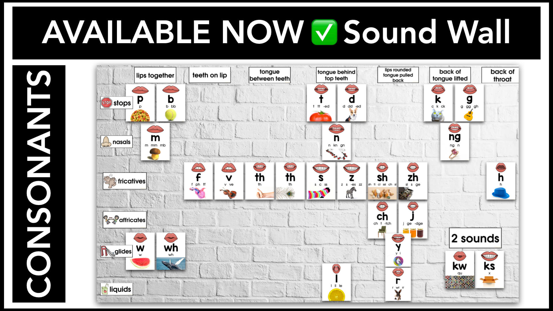 Sound Wall with Mouth Pictures Sound Wall with Mouth Pictures
